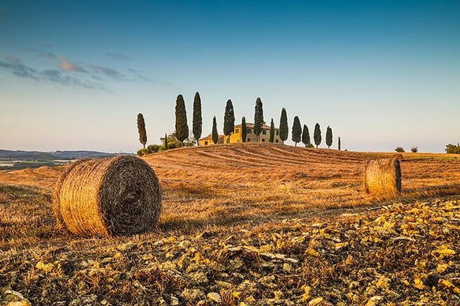 Walking Food Tour of Florence with Tastings - The Guides: Passionate and Knowledgeable