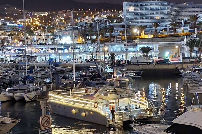 Whale and Dolphin Watching Catamaran with Transfer and Buffet - FAQ