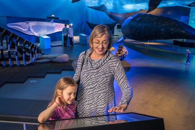 Whales Of Iceland Admission Ticket - Frequently Asked Questions