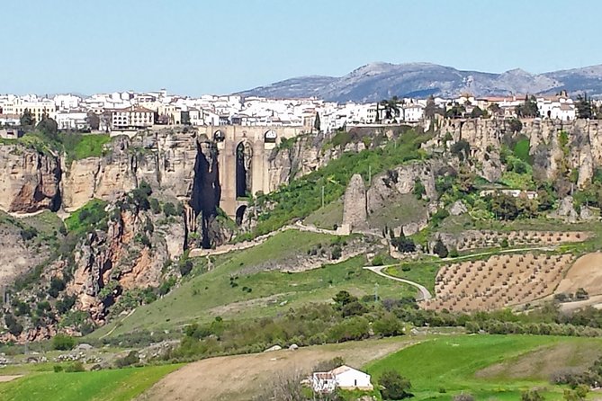 White Villages and Ronda Guided Day Tour from Seville - FAQ