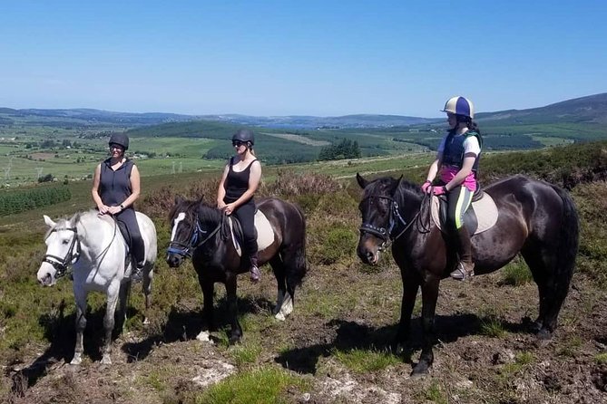 Wicklow Mountains Horse Trekking - Pricing and Value
