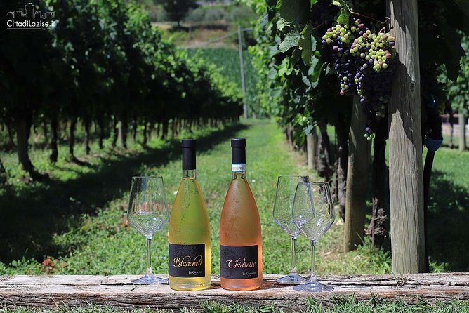 Wine and Food Tasting in the Vineyards in Lazise - The Authenticity and Atmosphere