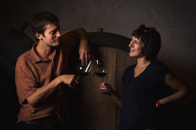 Wine Lover's Tour of Peljesac Peninsula - Who Will Love This Tour?