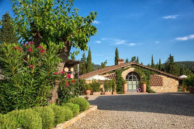 Wine tasting in the historical Cantalici winery - The Sum Up