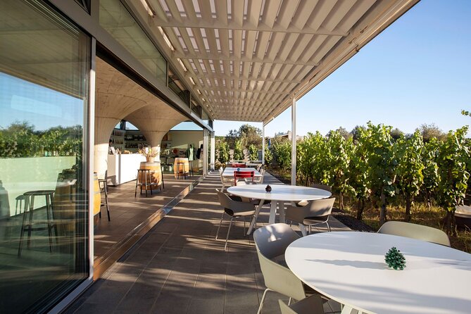 Wine tasting THE CLASSICS - Final Thoughts: Who Will Love This Tour?