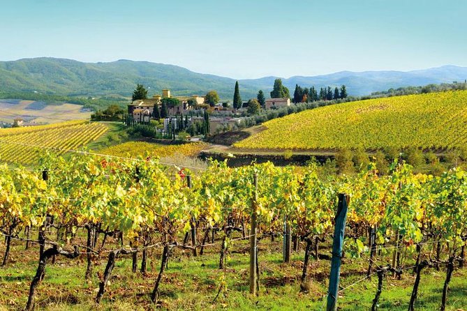 Wine Tasting & Tuscany Countryside, San Gimignano & Volterra - Who Would Love This Tour?