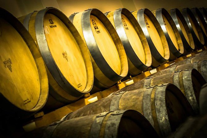 Wine tour and Tasting in Nocciano - Who Will Love This Experience?