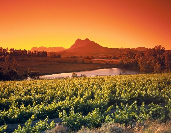 Wine Tour: Paarl, Franschhoek & Stellenbosch incl 3 wineries - FAQ