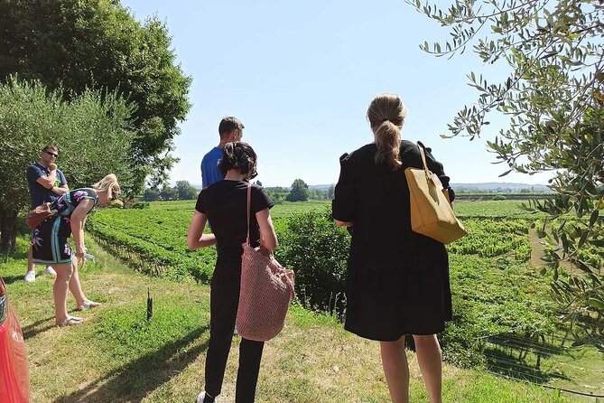 Winery Tour and Tasting of Garda Wines in Lazise - Authentic Experiences and Reviews