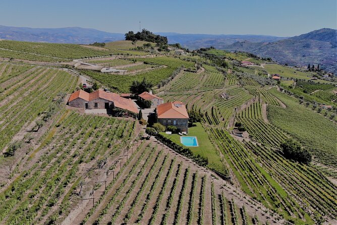 Winery Tour and Wine Tasting Quinta da Portela de Baixo in Lamego - Why You Should Consider This Tour