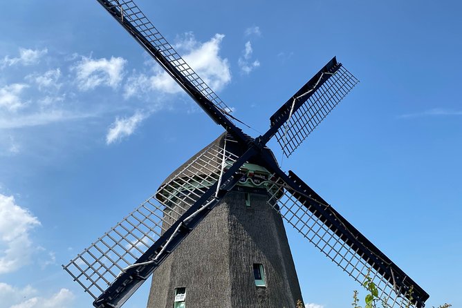 Zaanse Schans Windmills & Zaandam: Countryside Electric Bike Tour - The Bottom Line: Is It Worth It?