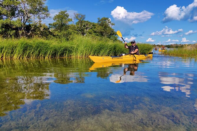 1-Day Small-Group Stockholm Archipelago Kayak Tour - Wrapping Up