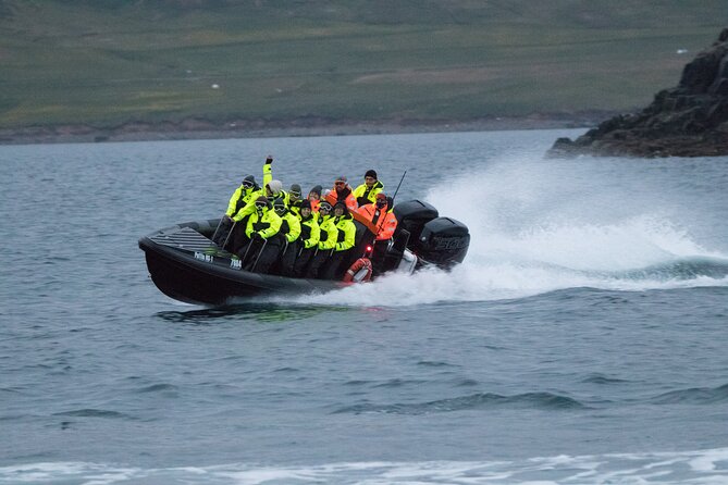 1 Hour Iceland Nature and Wildlife RIB Small Group Guided Safari - Who Will Love This Tour?