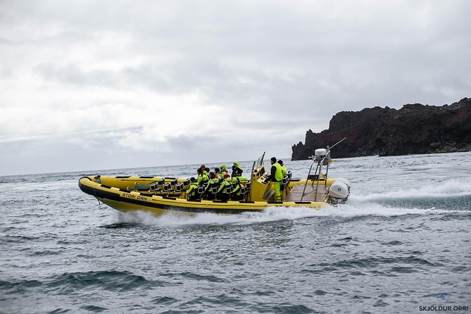 1-Hour Small Group Sightseeing Boat Tour in Vestmannaeyjar - Authentic Experiences & Authentic Connection