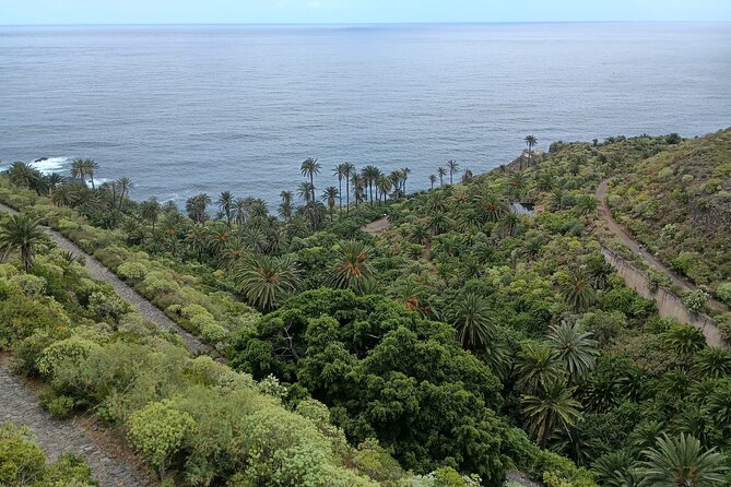 6hrs Private Tour in North Coast of Tenerife - The Sum Up