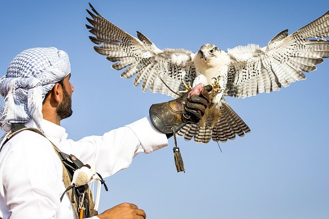Abu Dhabi: Desert Safari with BBQ, Camel Ride & Sandboarding - FAQ