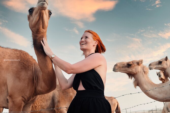 Abu Dhabi Evening Desert Safari BBQ, Camel Ride, Entertainments - Final Thoughts