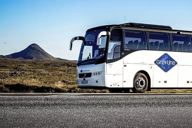 Airport Express Shared Arrival Transfer from Keflavik Airport to Reykjavik Hotels - Who Should Consider This Transfer?