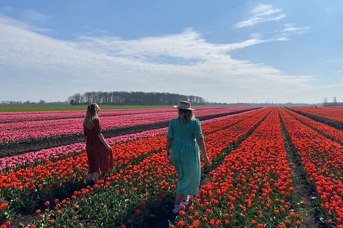 Amsterdam: Tulip Fields Day Tour with Lunch and a Windmill Visit - Final Thoughts