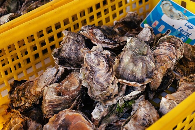 Arcachon Bay Full Day Trip from Bordeaux with lunch and Pyla Dune - Who Will Love This Tour?
