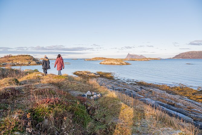 Arctic Roadtrip: fjords with scenic picnic | Sightseeing - Who Will Enjoy This Tour?
