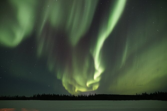 Aurora Borealis Picnic in Rovaniemi - FAQs