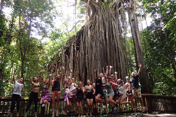 Barefoot Atherton Tablelands Adventure by Cairns Waterfalls - In The Sum Up