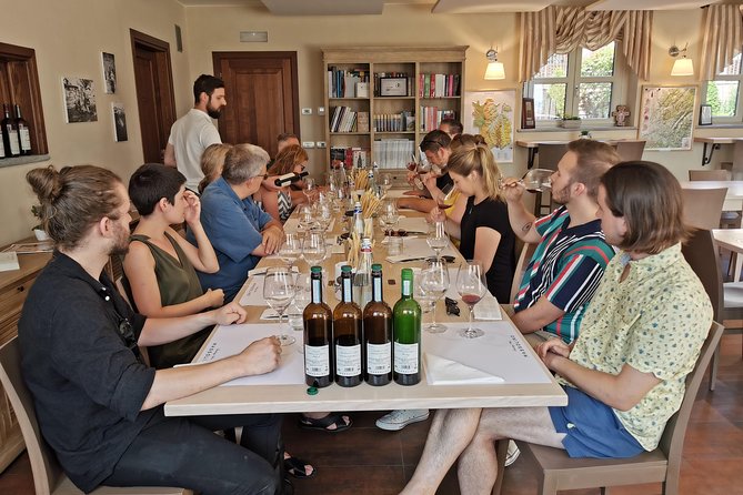 Barolo&Barbaresco wine tour with a local winemaker - The Sum Up