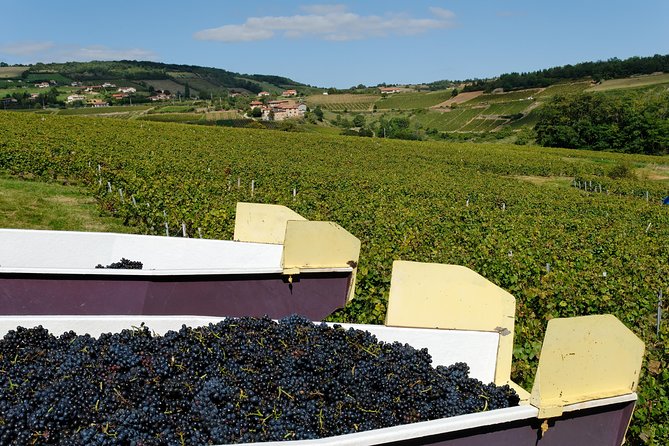 Beaujolais & Perouges Medieval Town (9:00 am to 5:15 pm - Small Group Tour Lyon - FAQ: Practical Questions About the Tour