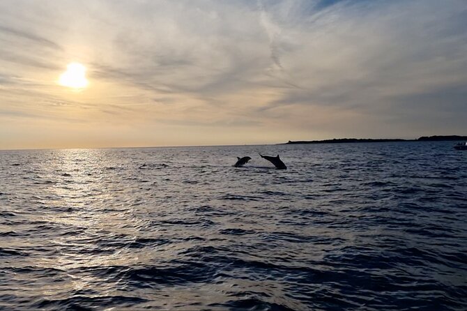 Beautiful Sunset and Dolphin Watching - Who Is This Tour Best For?