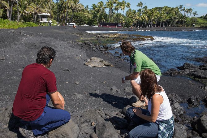 Big Island in a Day: Volcanoes Waterfalls Sightseeing and History - What Makes This Tour Stand Out?