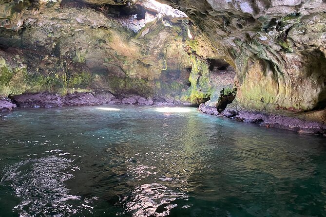Boat excursion to Polignano a Mare between caves and coves - Who This Tour Is Best For