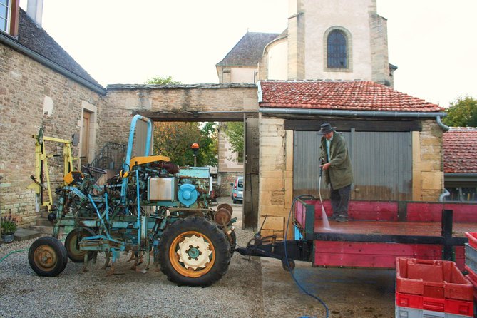 Burgundy Bike Tour with Wine Tasting from Beaune - Who Will Love This Tour?