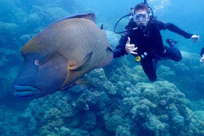 Calypso Outer Great Barrier Reef Cruise from Port Douglas - Practical Details and Considerations