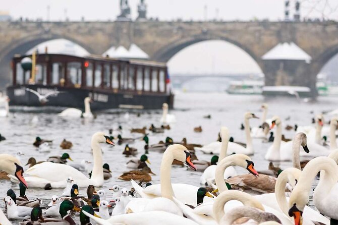 Charles Bridge: River Boat Cruise & Guided Tour with PragueWay - Final Thoughts