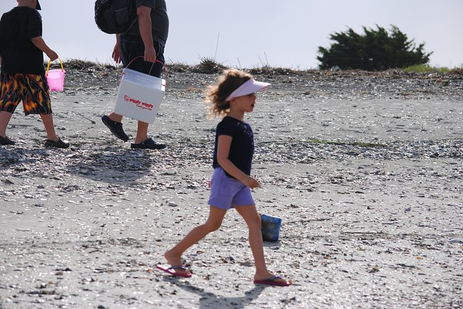 Charleston Eco Boat Cruise with stop at Morris Island Lighthouse - Who Will Love This Tour?