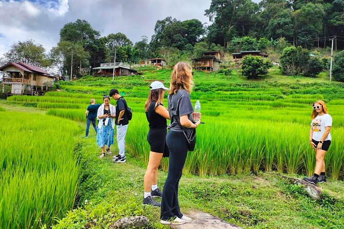 Chiang Mai: Doi Inthanon National Park, Waterfall & Royal Project - Final Thoughts: Who Will Love This Tour?