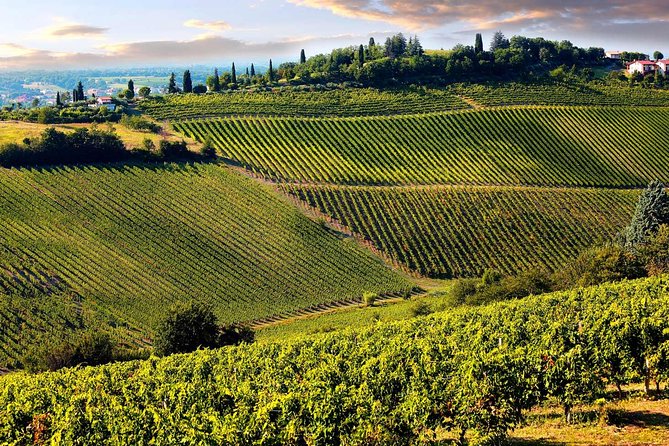 Chianti Half-day Wine Tour in the Tuscan's Hills from Pisa - Final Thoughts: Who Will Love This Tour?