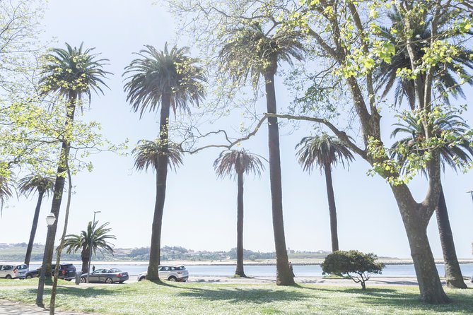 City Bike Rental in Porto - Reviews: Authentic Feedback from Past Riders