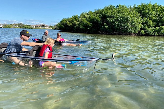 Clear Kayak Tour of Shell Key Preserve and Tampa Bay Area - Who Will Love This Tour?
