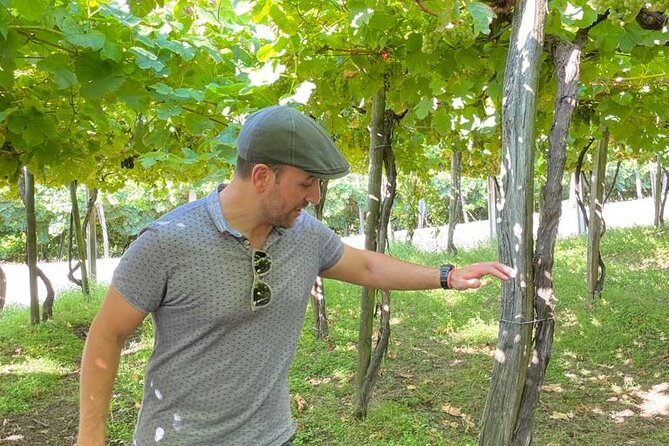 Coastal "Winery Camino Trail" Walking Tour from San Sebastian - Final Thoughts