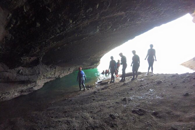Coasteering Geopark Adventure In Torquay - The Scenery and Wildlife