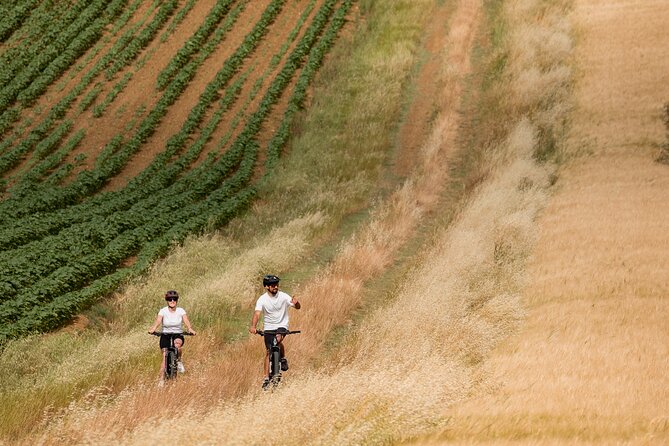 Cortona - eBike tour and wine tasting in the Val di Chiana [+40] - Who Would Love This Tour?
