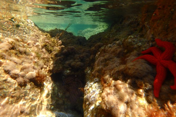Costa Brava Day Adventure: Kayak, Snorkel & Cliff Jump with Lunch - FAQs