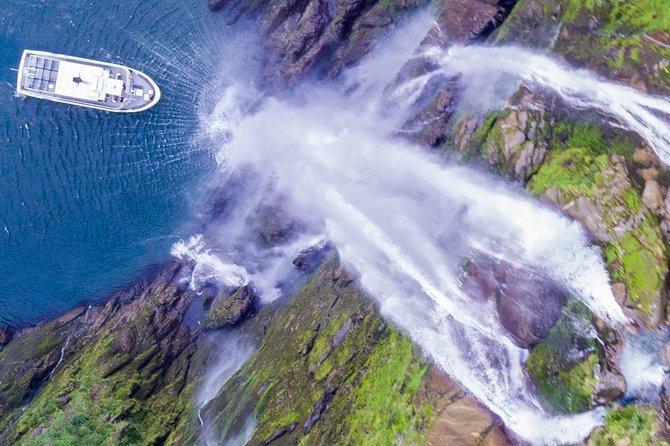 Cruise Milford NZ Small Boutique Cruise Experience - Who Should Book This Tour?