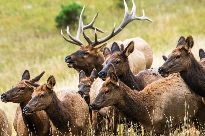 Discover Rocky Mountain National Park - Practical Details to Know