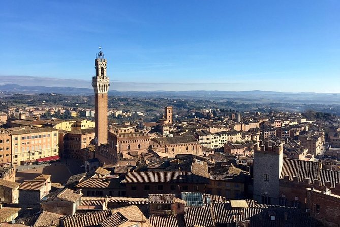 Discover the Medieval Charm of Siena on a Private Walking Tour - FAQ