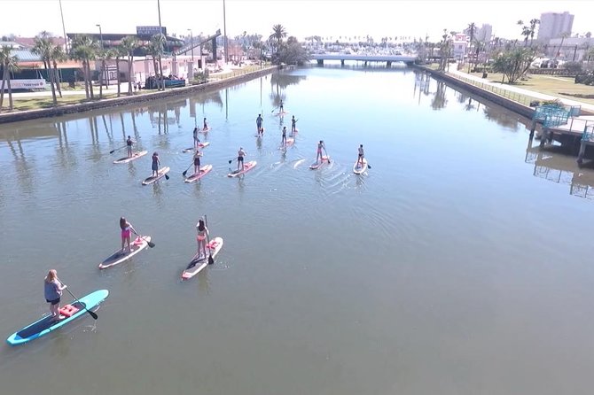 Dolphin and Manatee Stand Up Paddleboard Tour in Daytona Beach - Frequently Asked Questions
