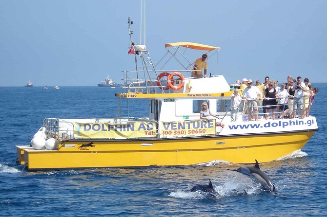 Dolphin Watching in Gibraltar & Fast Track Priority Cable Car - FAQ