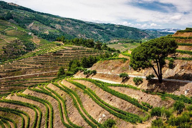 Douro Valley EXCLUSIVE Private Day Trip by Car with Boat Included - What Reviewers Say